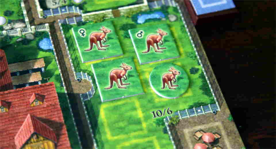 Zooloretto Board Game - Award-Winning Game for (Animal) Families | Review